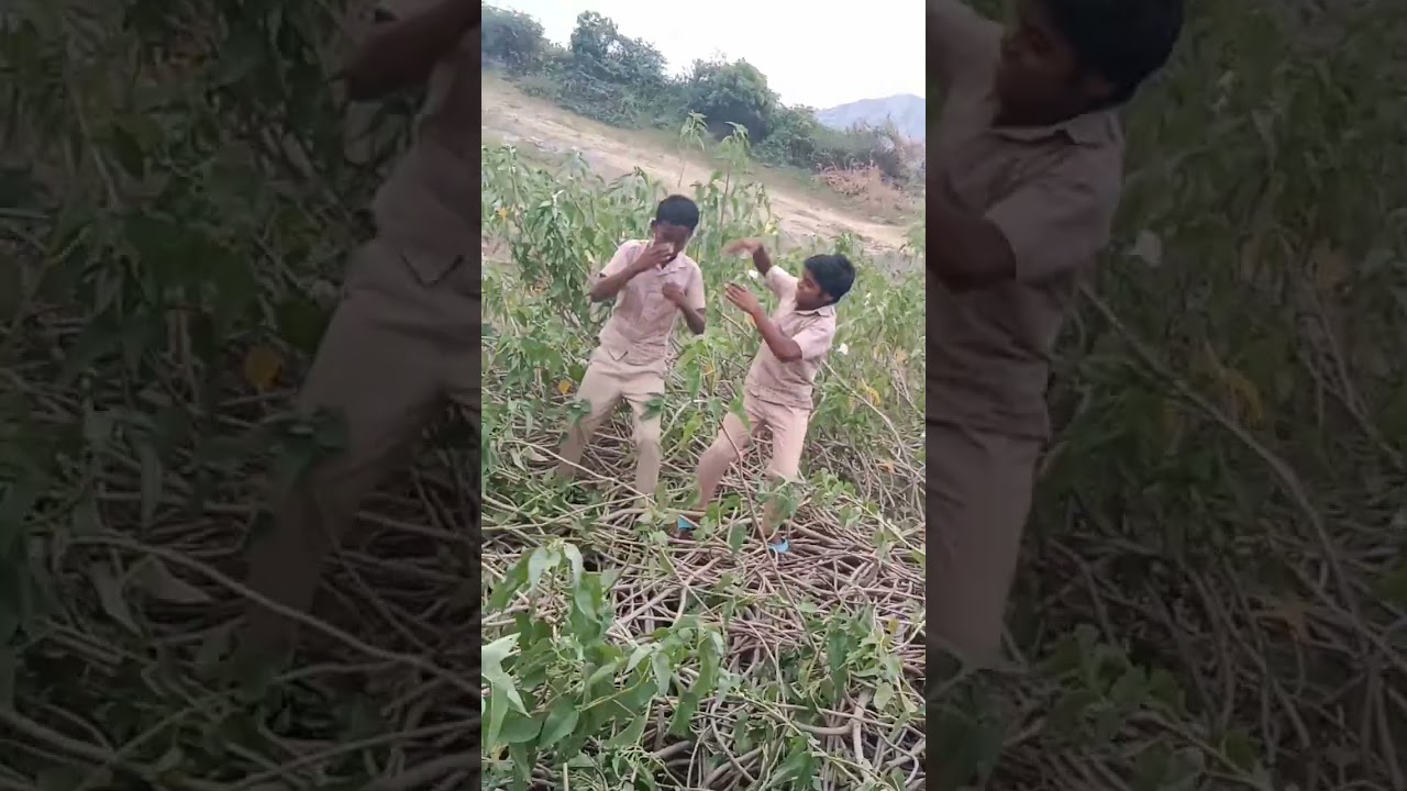 pulingo dance ️school .. - YouTube