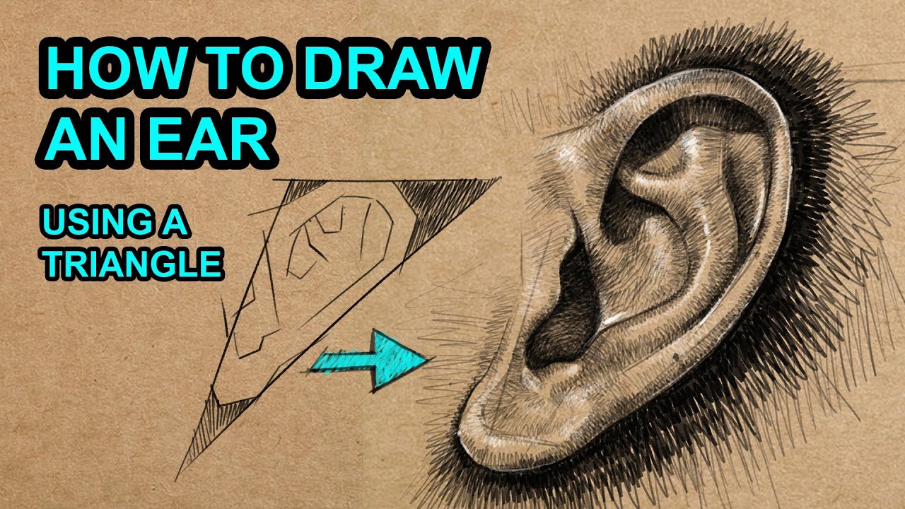 How to draw an ear using a triangle | Geometric Abstraction | Digital ...