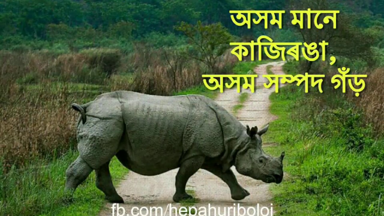 Assamese| assam | অসমীয়া | poem | documentary on assam | - YouTube