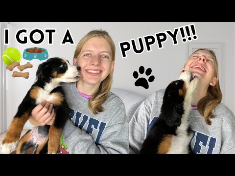 I GOT A NEW PUPPY!