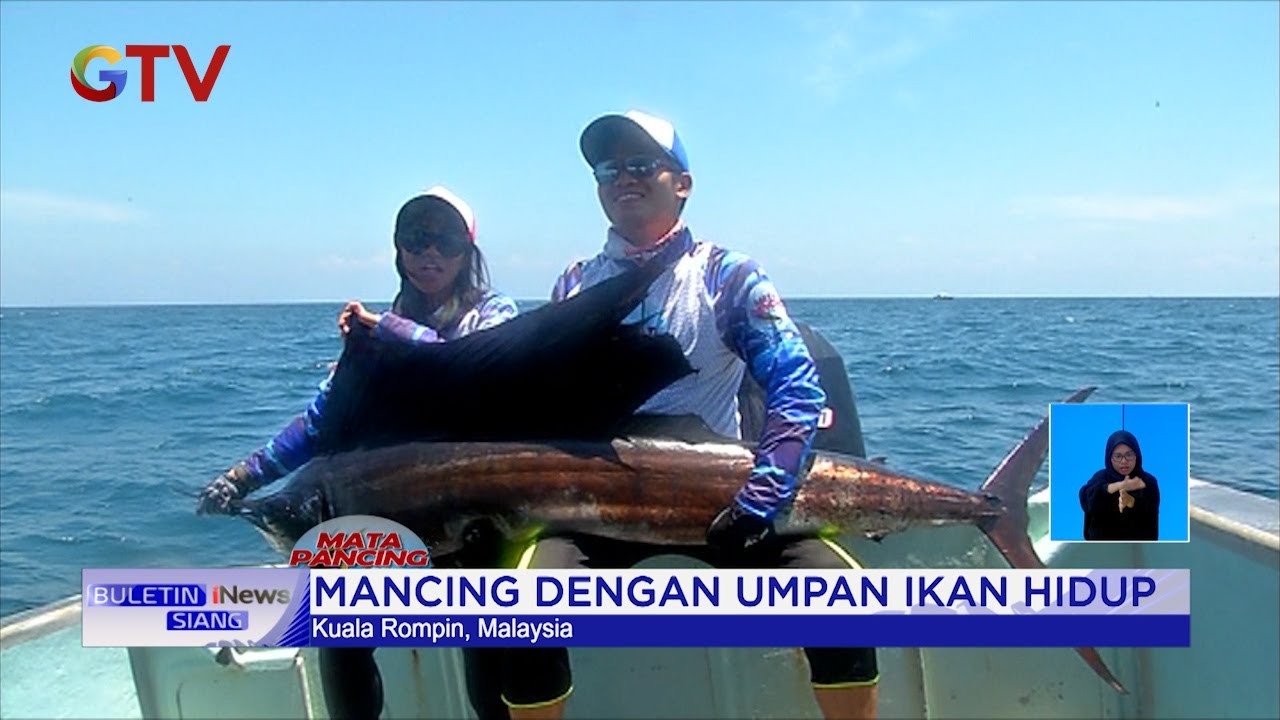 Mata Pancing: Berburu Ikan Layaran di Kuala Rompin, Malaysia # ...