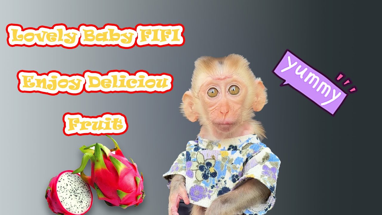 Adorable Baby Monkey FIFI Play and Eating Apple - YouTube