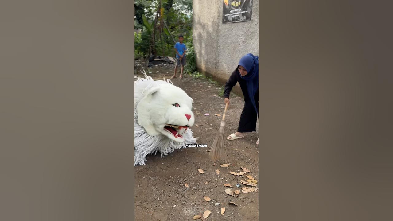 Can Macanan Dipukul Emak-Emak Pakai Sapu - YouTube