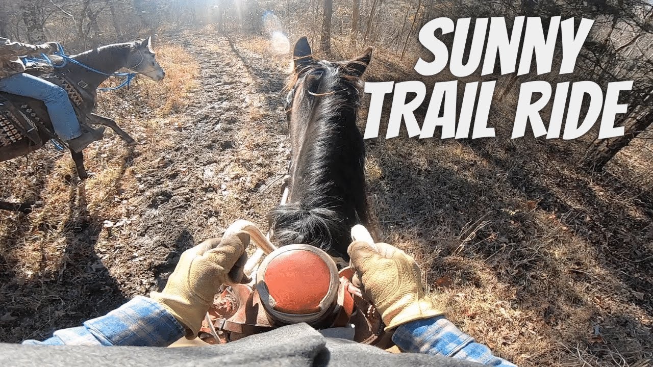Sunny Trail Ride | Horseback Riding - YouTube