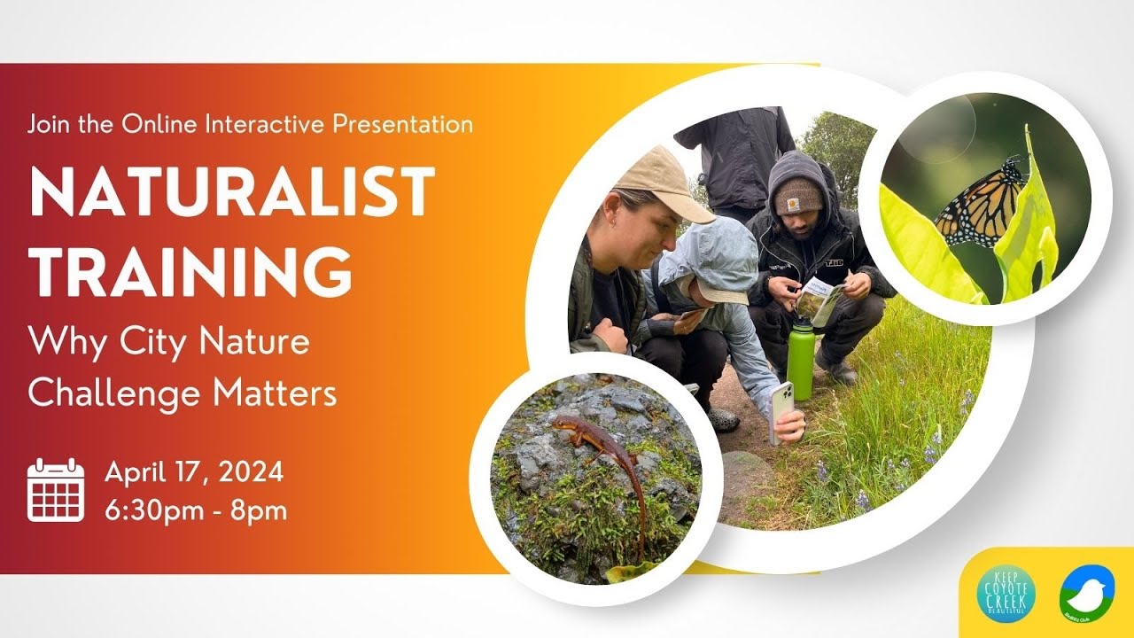 Naturalist Training - Why City Nature Challenge Matters - YouTube
