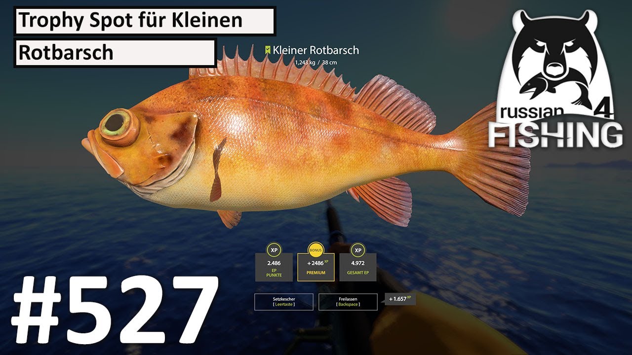 Guter Spot für Kleinen Rotbarsch | Russian Fishing 4 #527 | Deutsch ...