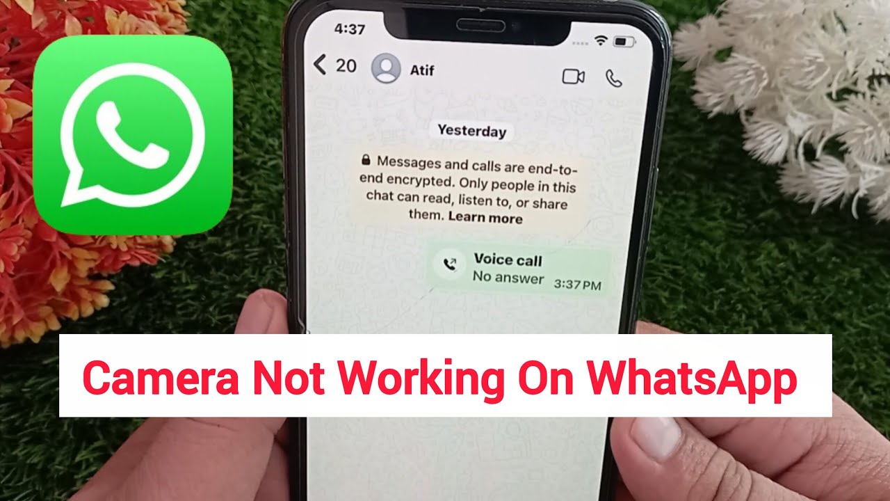 How to Fix WhatsApp Camera Not Working on iPhone | Whatsapp Camera ...