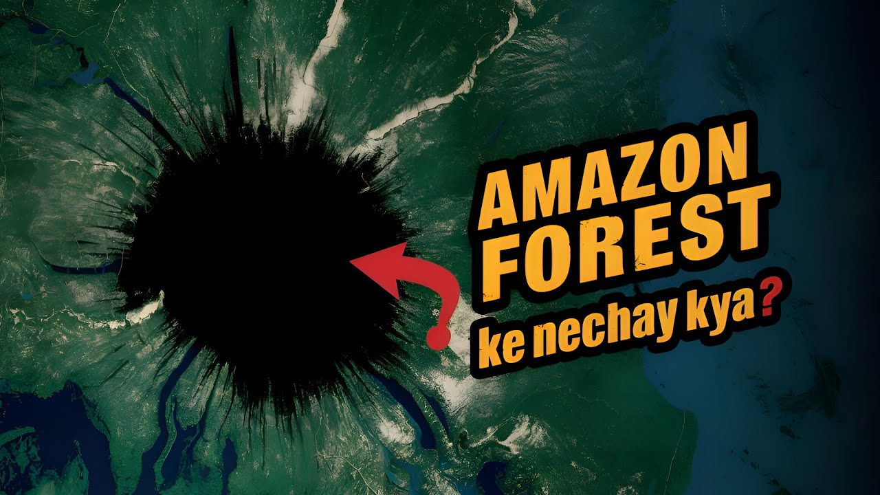 The Secrets of the Amazon Rainforest Revealed 🤯 - YouTube