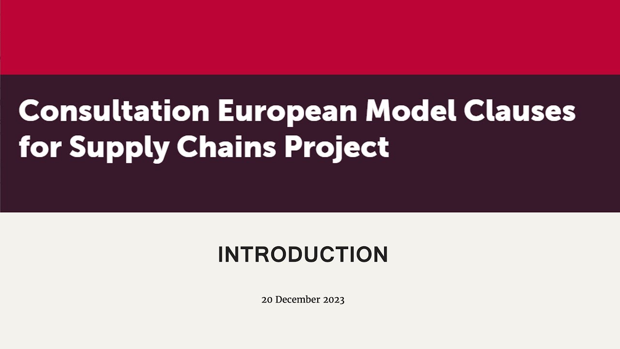 Consultation - European Model Clauses for Supply Chains Project ...