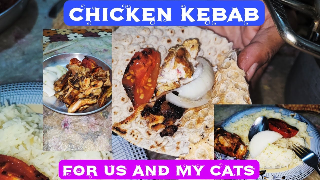 kebab // different fire place// new method // chicken kebab for my cat ...