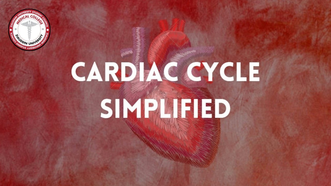 Cardiac Cycle Simplified - YouTube