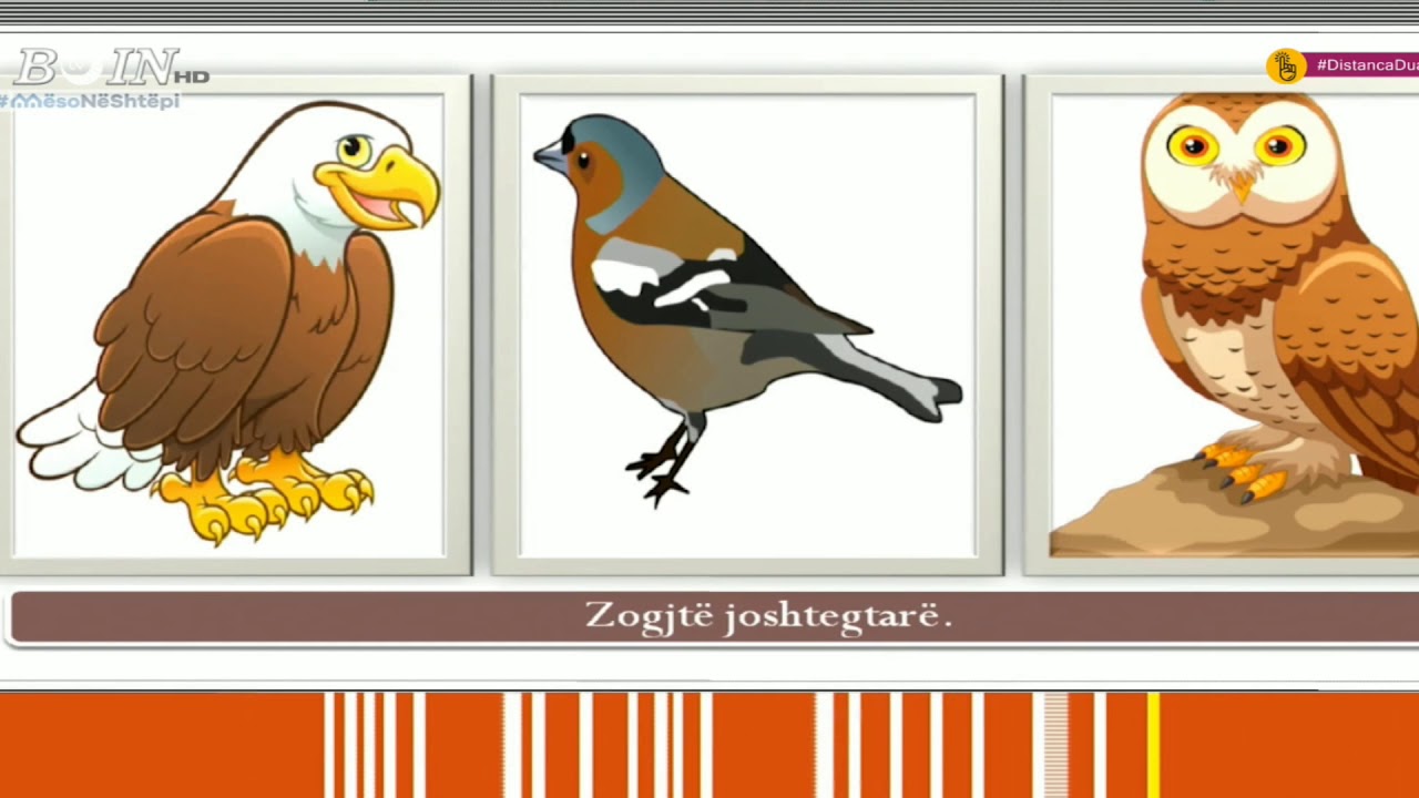 Vjersha"Harabeli" nga Dritëro Agolli - YouTube