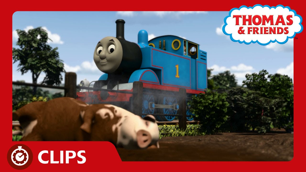 Thomas and the Piglets | Clips | Thomas & Friends - YouTube