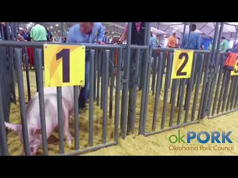 A Day in the Life: Ty Goss - Tulsa State Fair