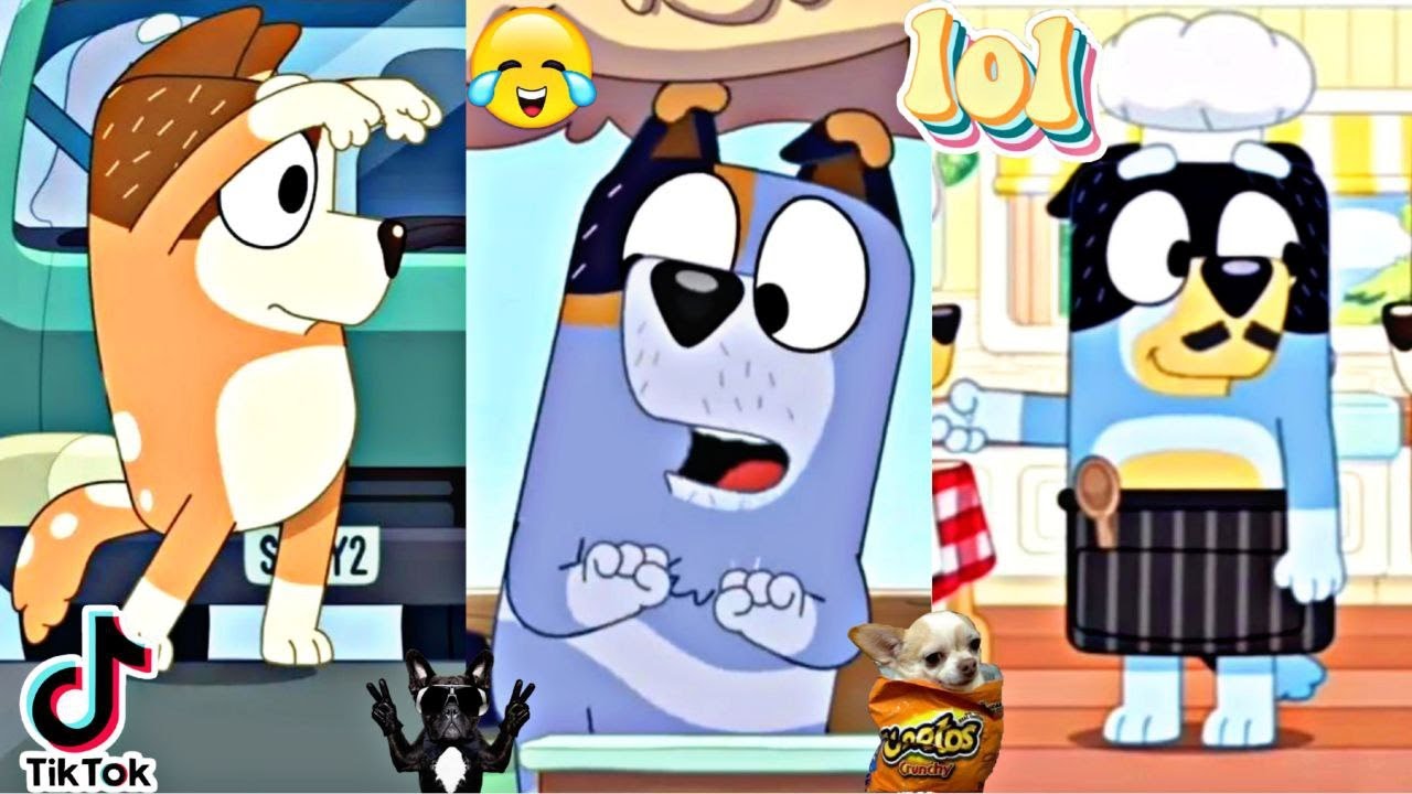 🎈 BLUEY - Best Funny Memes / TikTok Compilation #21 🎈 - YouTube