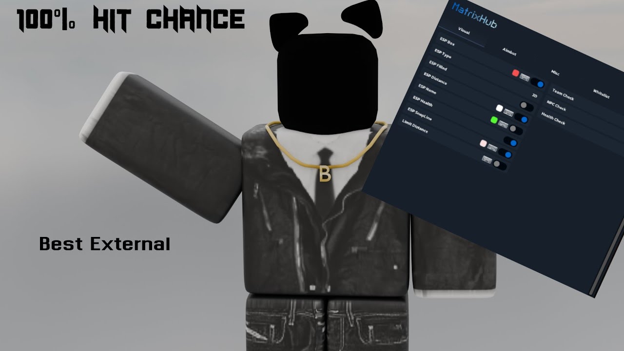 RAIDING WITH MATRIX HUB [2025] best config. - YouTube