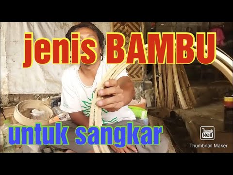 Jenis BAMBU YANG BAGUS UNTUK MEMBUAT SANGKAR BULAT