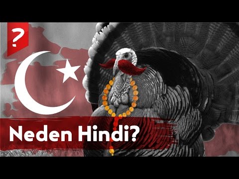 Türkiye’ye Neden Hindi Dendiğini Açıklıyoruz!
