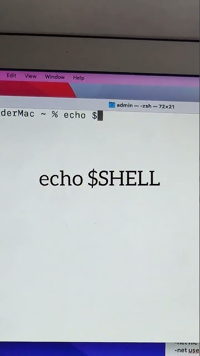Find default shell path in MacOS | echo $SHELL - YouTube