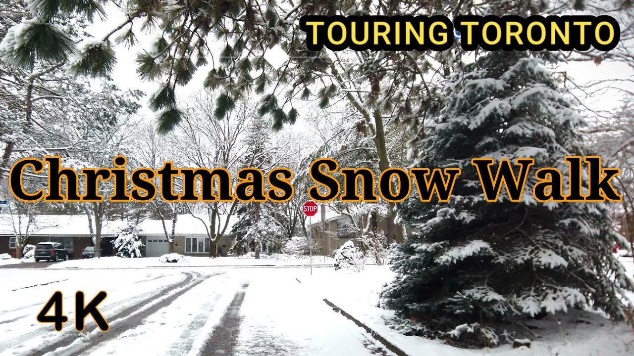 Downtown Toronto | Walk in Winter | White Christmas | Snow Christmas ...