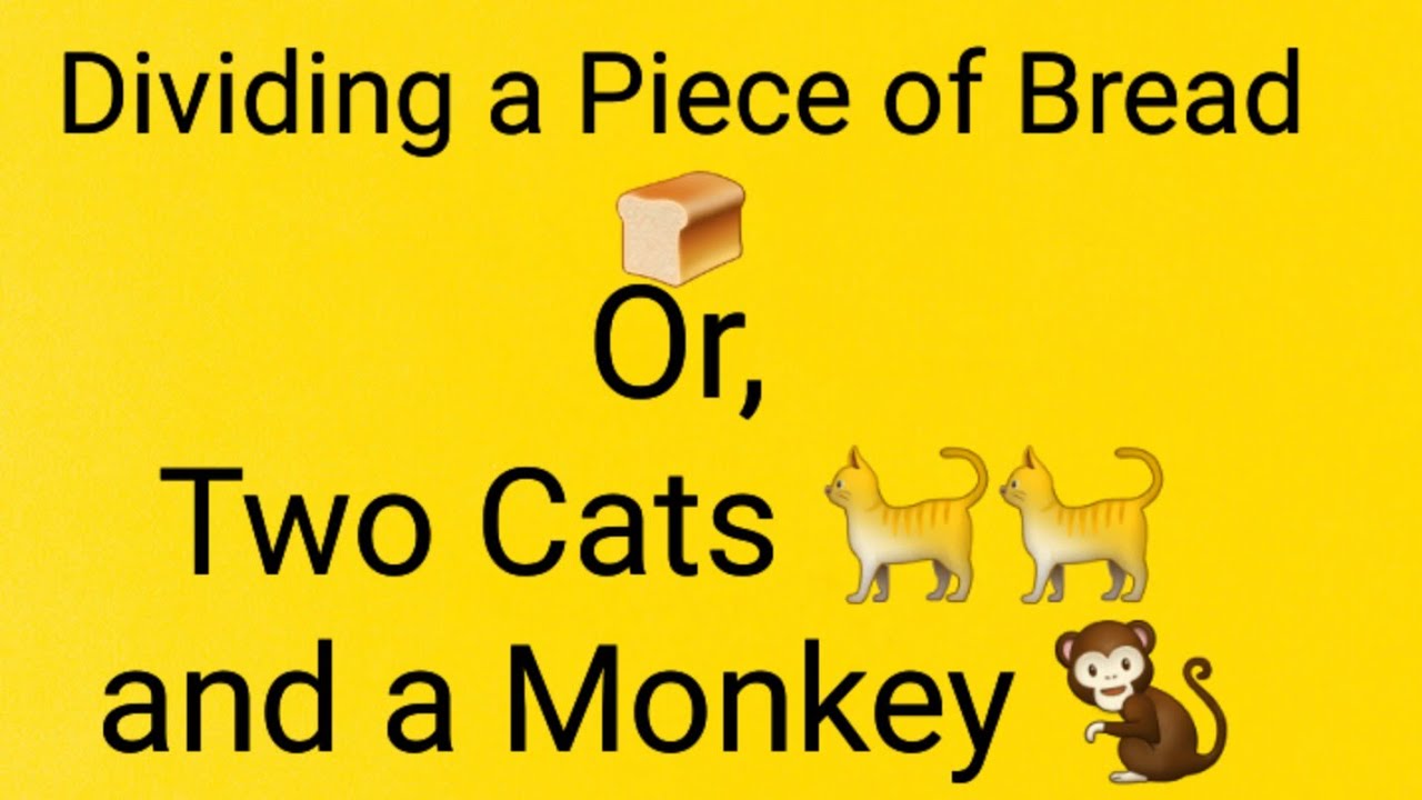 Dividing a Piece of Bread|| Two Cats and a Monkey 🐈 🐈 🐵@englishwithazim ...