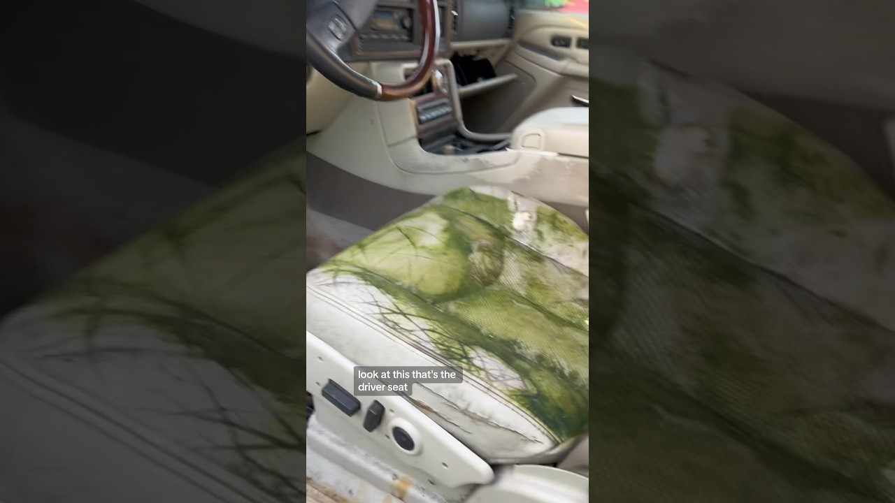 The once luxurious Cadillac Escalade sits on display, as a monument to ...