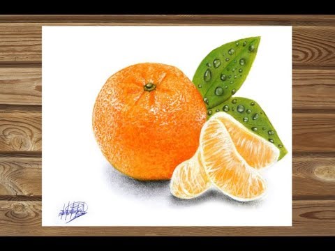 Dibujo realista de una mandarina | HD| Realistic drawing of mandarin ...