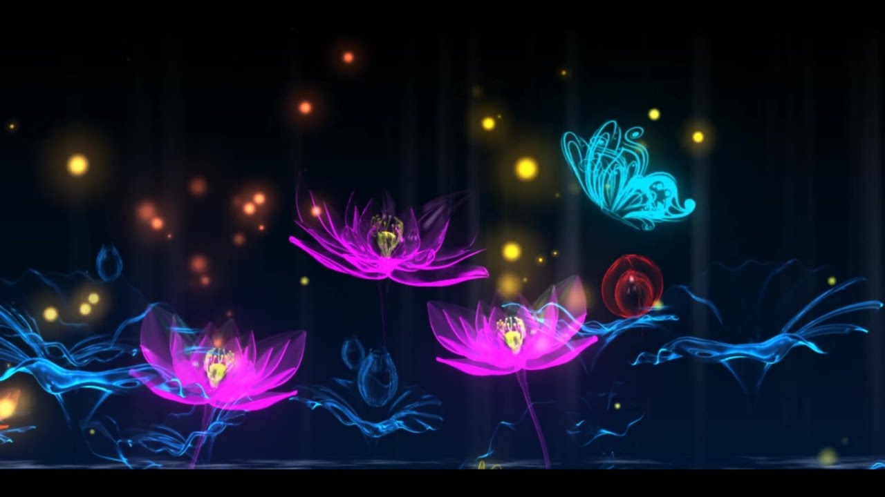 Lotus with Butterfly Flying Around | LED Video Background | Pikbest.com ...