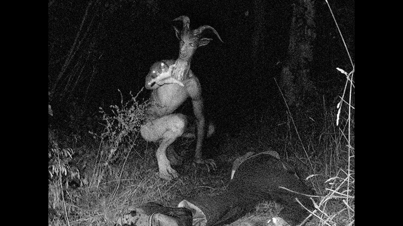 Top Ten North American Cryptids Youtube