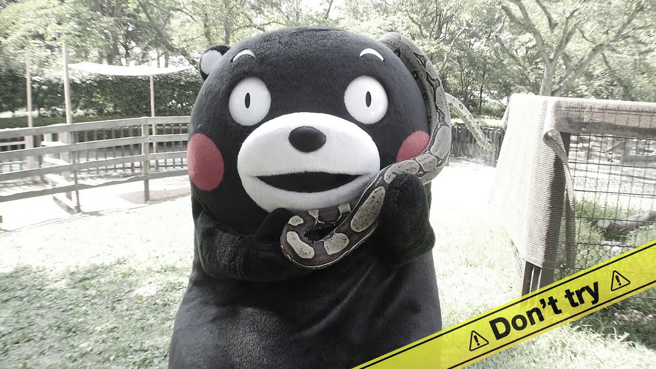 Kumamon Happy Surprise #3 "Is Kumamon scared of snake?" - YouTube