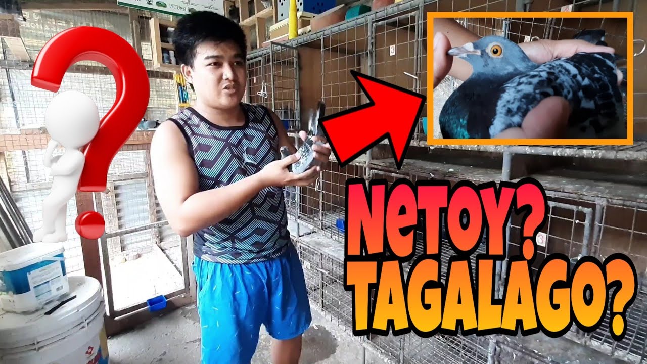 NETOY YUNG KALAPATI NAMIN?! - YouTube