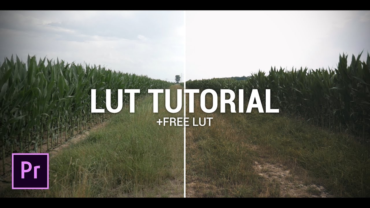 Was Ist Eine Luts | Color Grading: Was sind LUTS und wie nutze ich ...