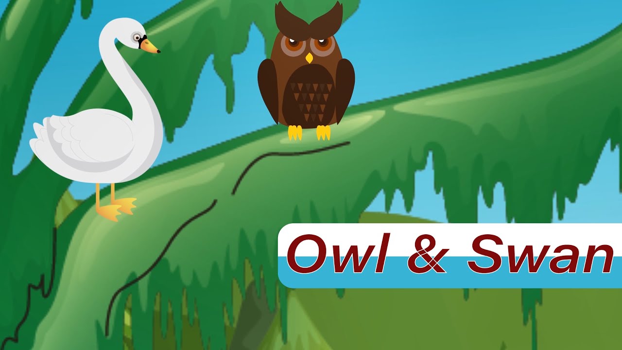 The Swan and Owl Story in English || Moral Stories for Kids || Bedtime ...