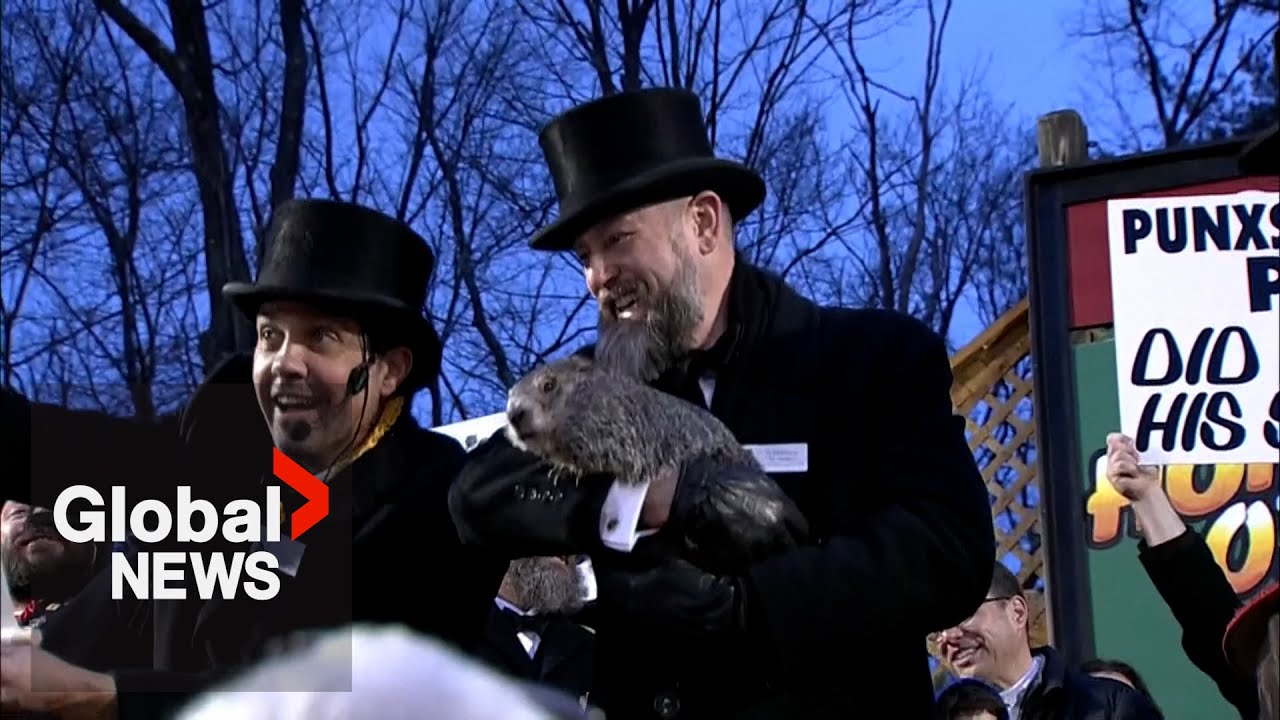 Groundhog Day 2024: Punxsutawney Phil predicts an early spring! - YouTube