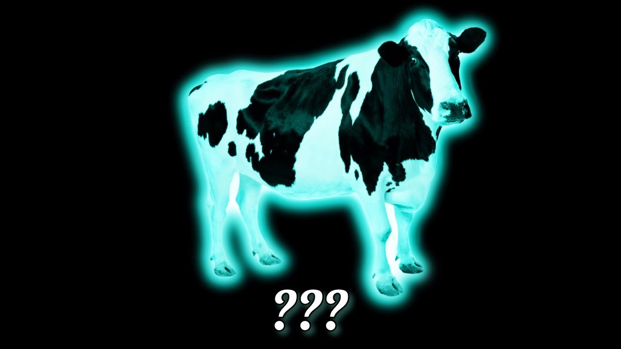 🔊 15 Cow "Moo" Sound Variations in 35 Seconds - YouTube