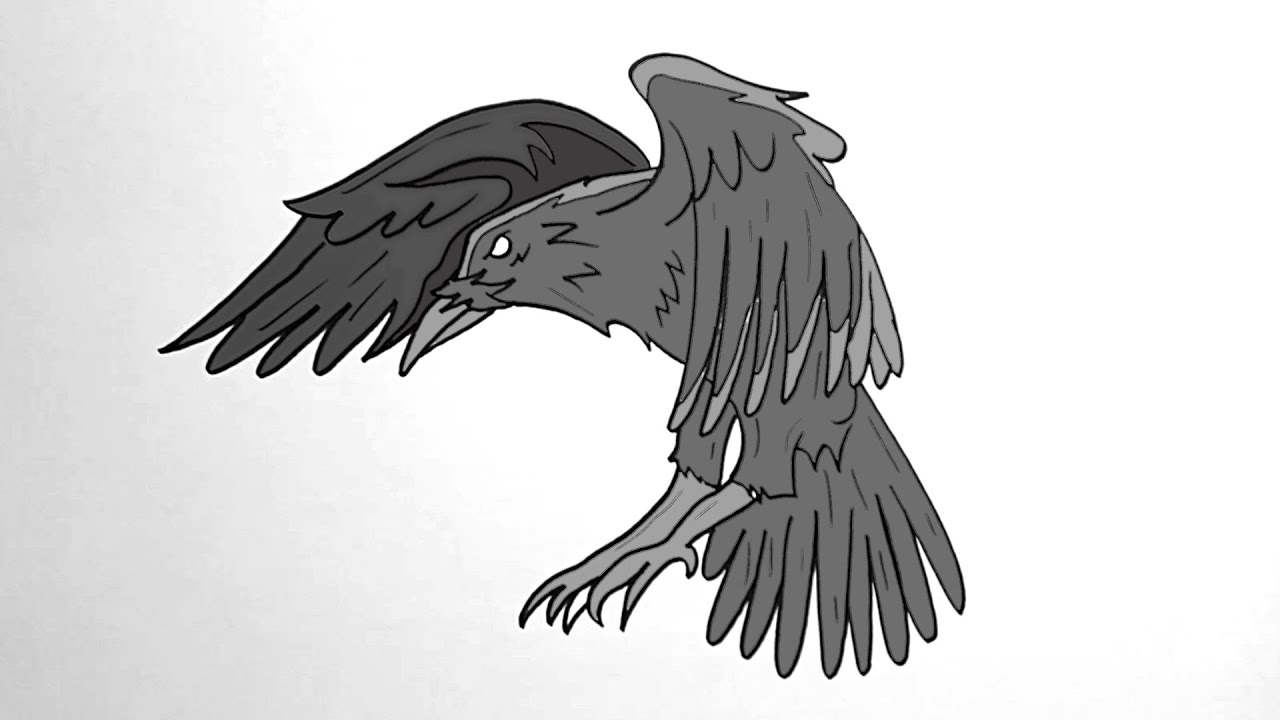 How to Draw CROW Step by Step - YouTube