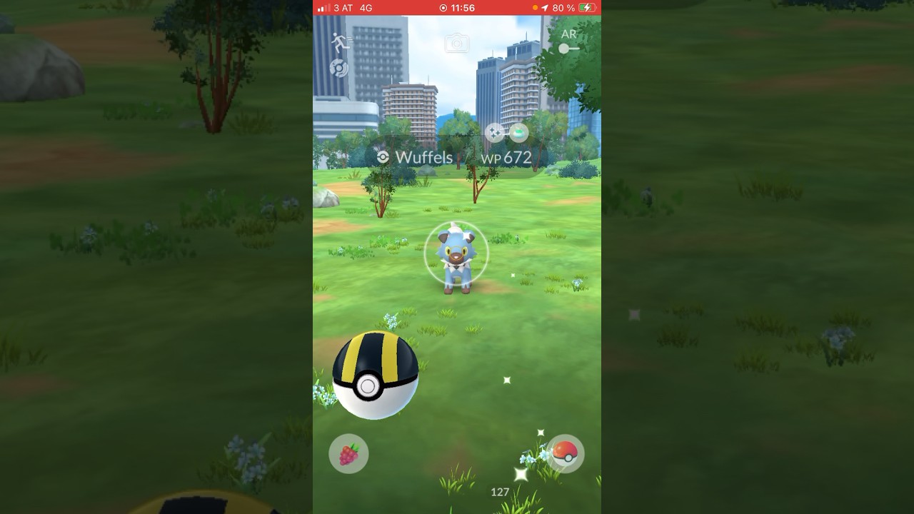 Go Fest Shiny Wuffels!! #pokemongo #pokemon #shinypokemon #shiny # ...