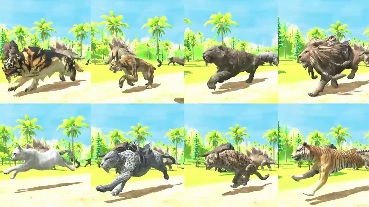 Cats Category Animals Speed Races | Lion, Tiger, Sabertooth, Lynx, Snow ...