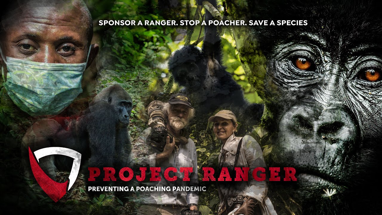 Episode 5: PROJECT RANGER - Preventing a poaching pandemic - YouTube
