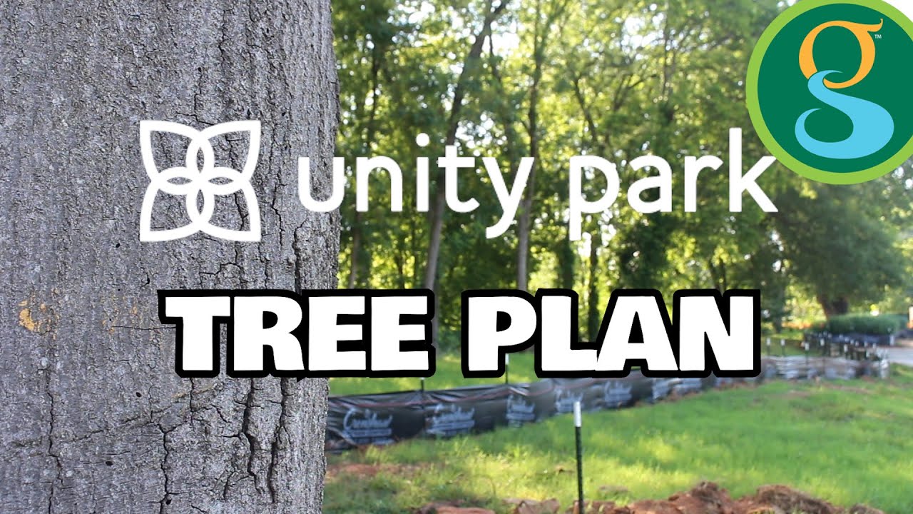 Unity park opening date - Lasispots