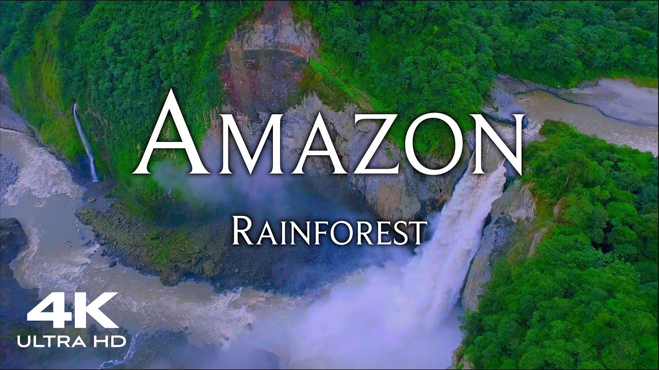 AMAZON Rainforest in 4K 🇧🇷 World's Largest Tropical Forest 🌴 Aerial ...