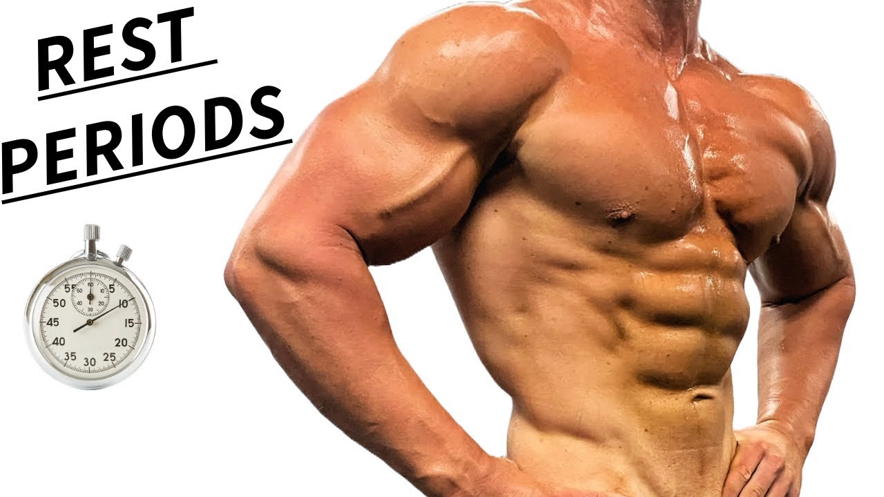 How Long Should Your Rest Time Be For Muscle Growth? | Rest Periods ...
