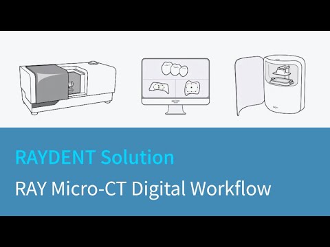 RAY Micro-CT Digital Workflow - YouTube