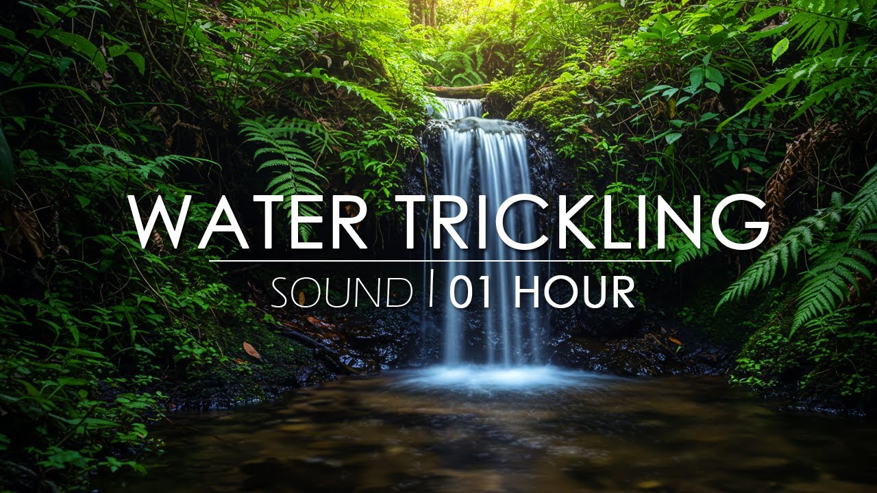 Trickling Water Sounds for Sleep, Relax, Study, or Focus 🌊💤 White Noise ...