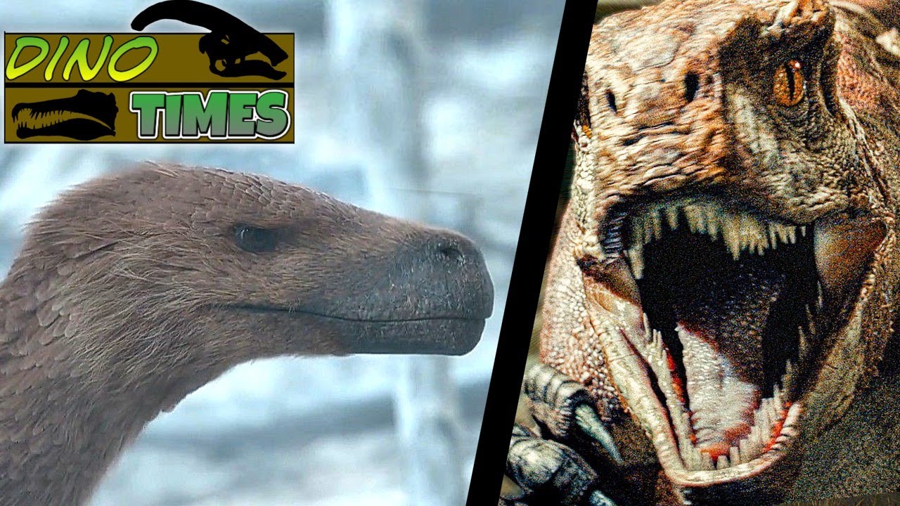 The TRUE Atrociraptor! Dino Times - YouTube