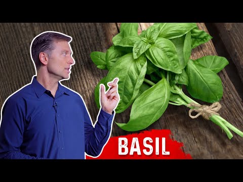What Vitamins And Minerals Does Fresh Basil Have