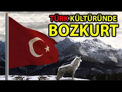 Kısa ve ÖZ | Türklerde Bozkurt Sembolünün Anlamı ve Önemi