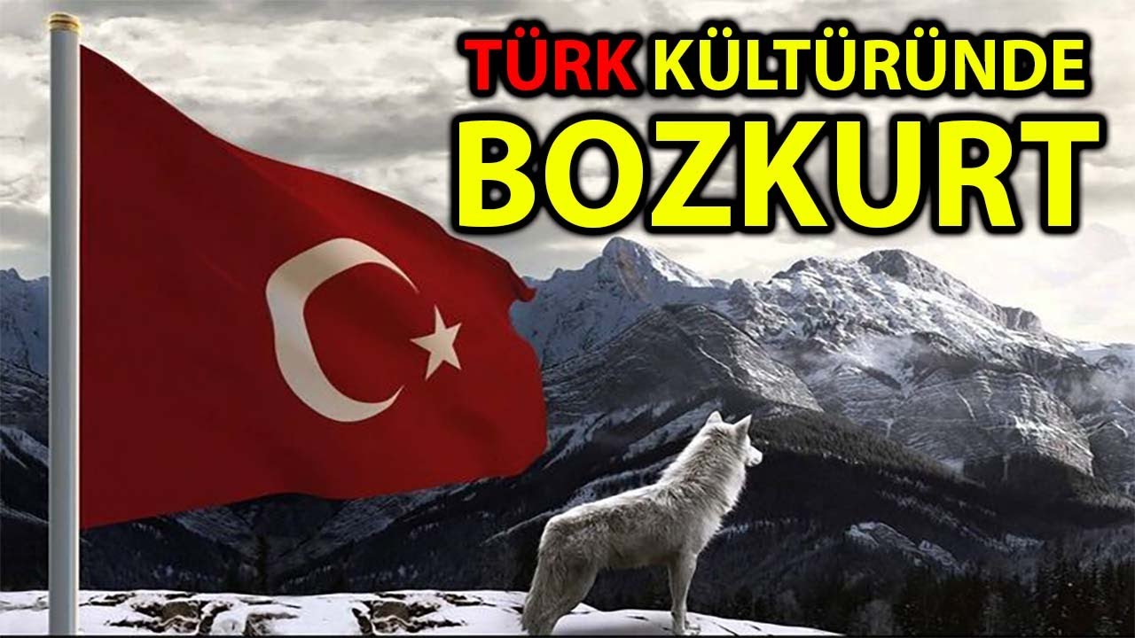 Kısa ve ÖZ | Türklerde Bozkurt Sembolünün Anlamı ve Önemi - YouTube