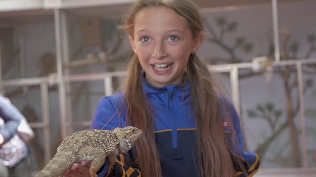Ardmore Open Farm & Mini Zoo - YouTube