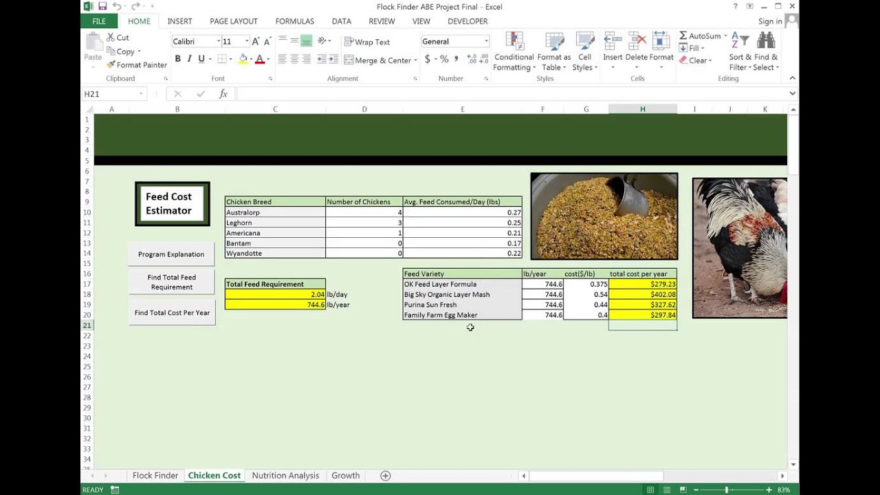ABE 205 Excel VBA Project: Flock Finder, Alex Downs - YouTube